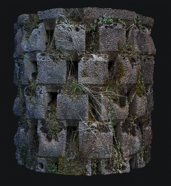 Materials moss wall texture