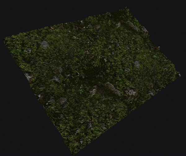 Materials moss rock texture