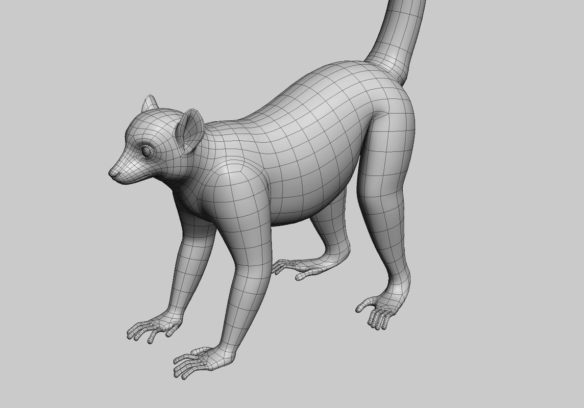 3d lemur model