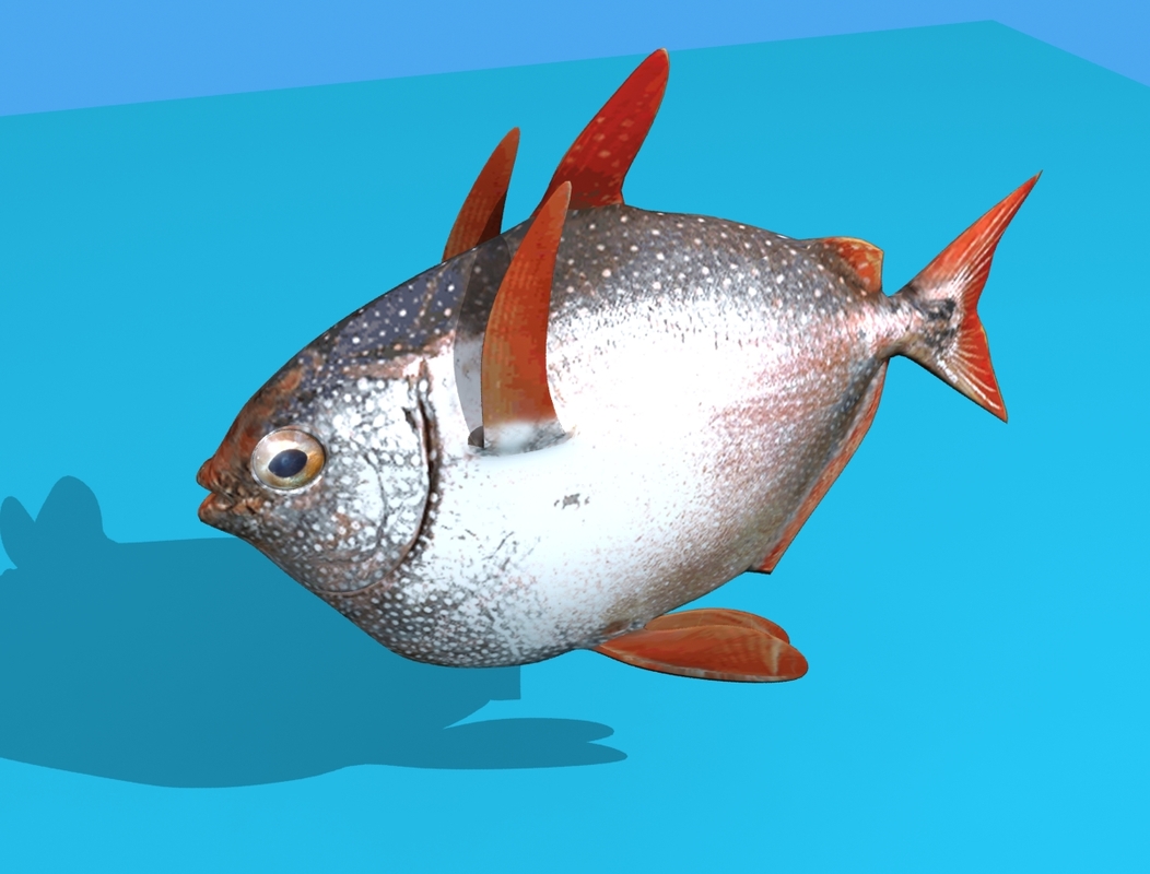 opah fish 3d max