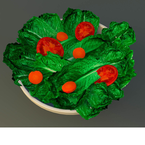 3D Salad Models | TurboSquid