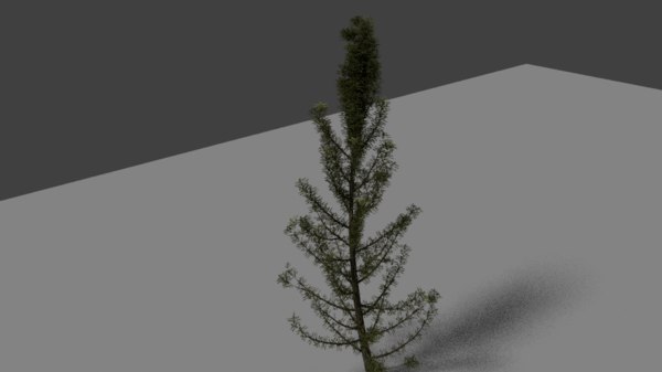 Pine Tree Blender Models for Download | TurboSquid