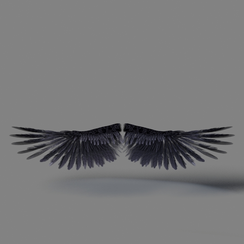 3d model realistic wings rigged