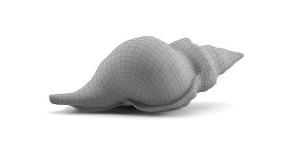 seashell animations 3d 3ds