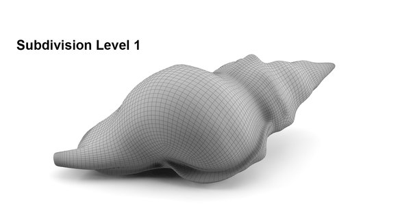 seashell animations 3d 3ds