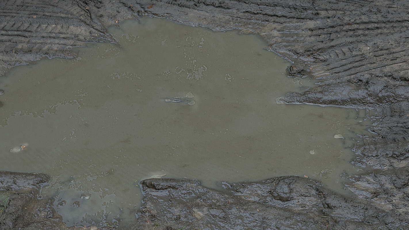 modelo 3d Charco de lodo 8K HD - TurboSquid 941200