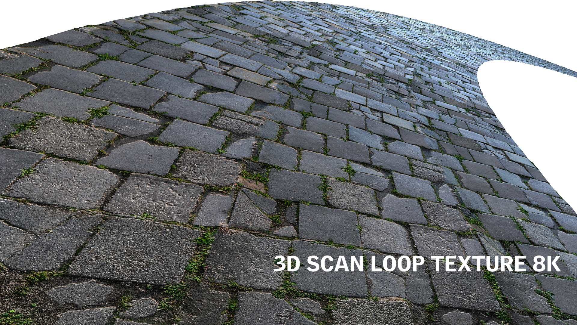 3d sidewalk pavement scanned model