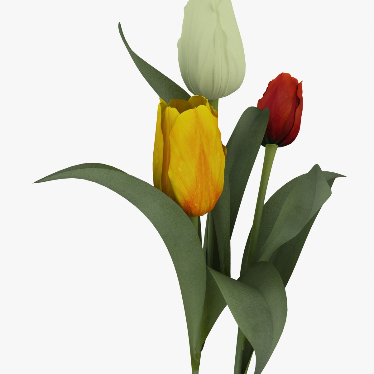 tulips flower 3d model