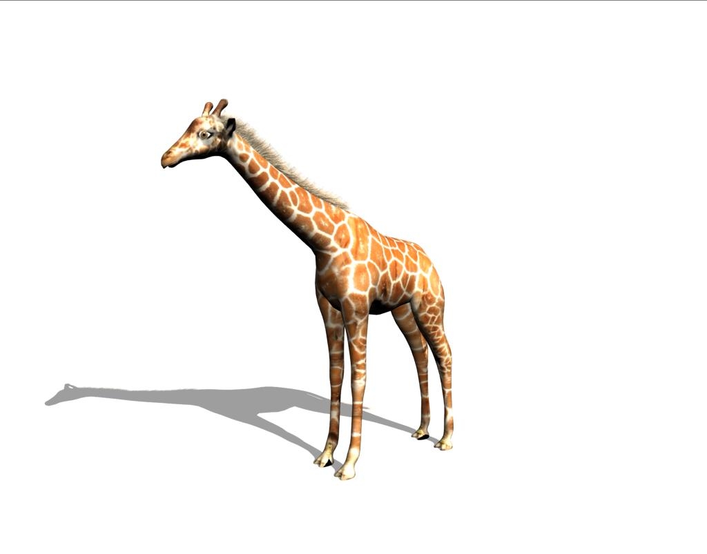 giraffe 3d model