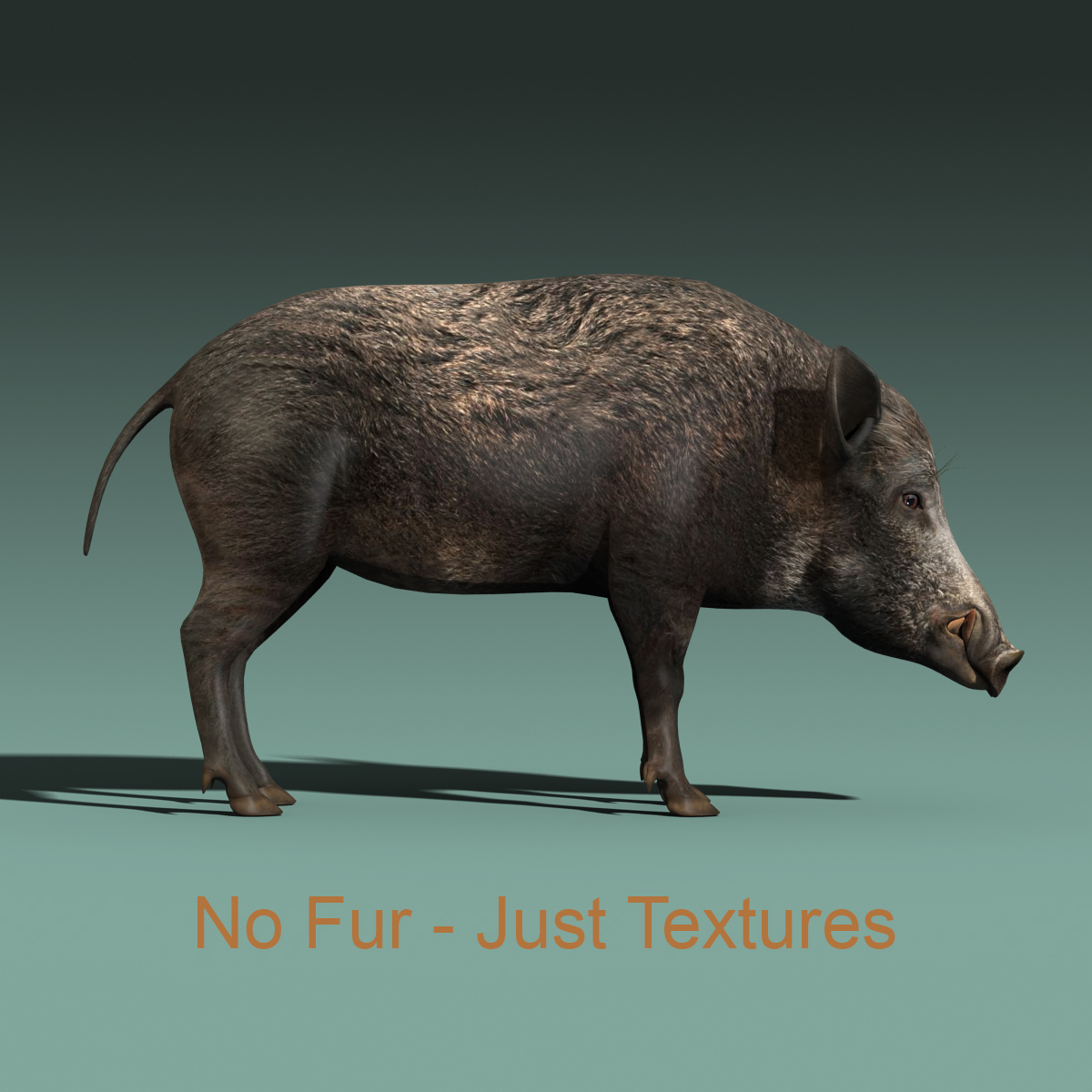 wild boar fur max