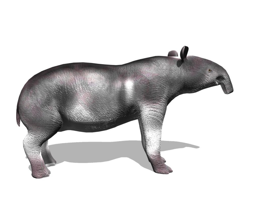3d prehistoric tapir megatapirus