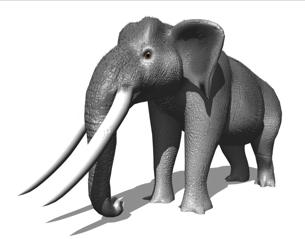 stegomastodon mastodon 3d obj