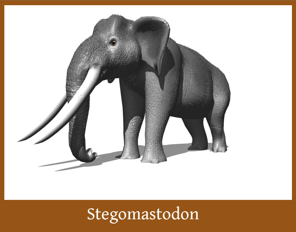 stegomastodon mastodon 3d obj