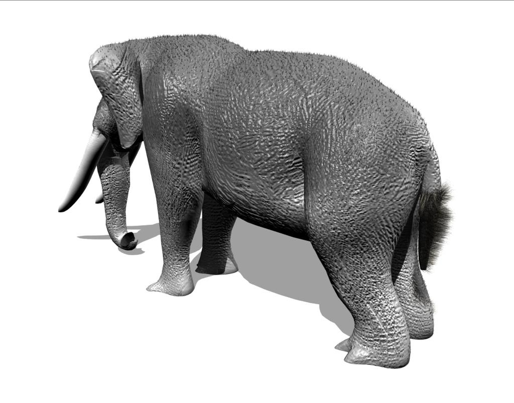 stegomastodon mastodon 3d obj