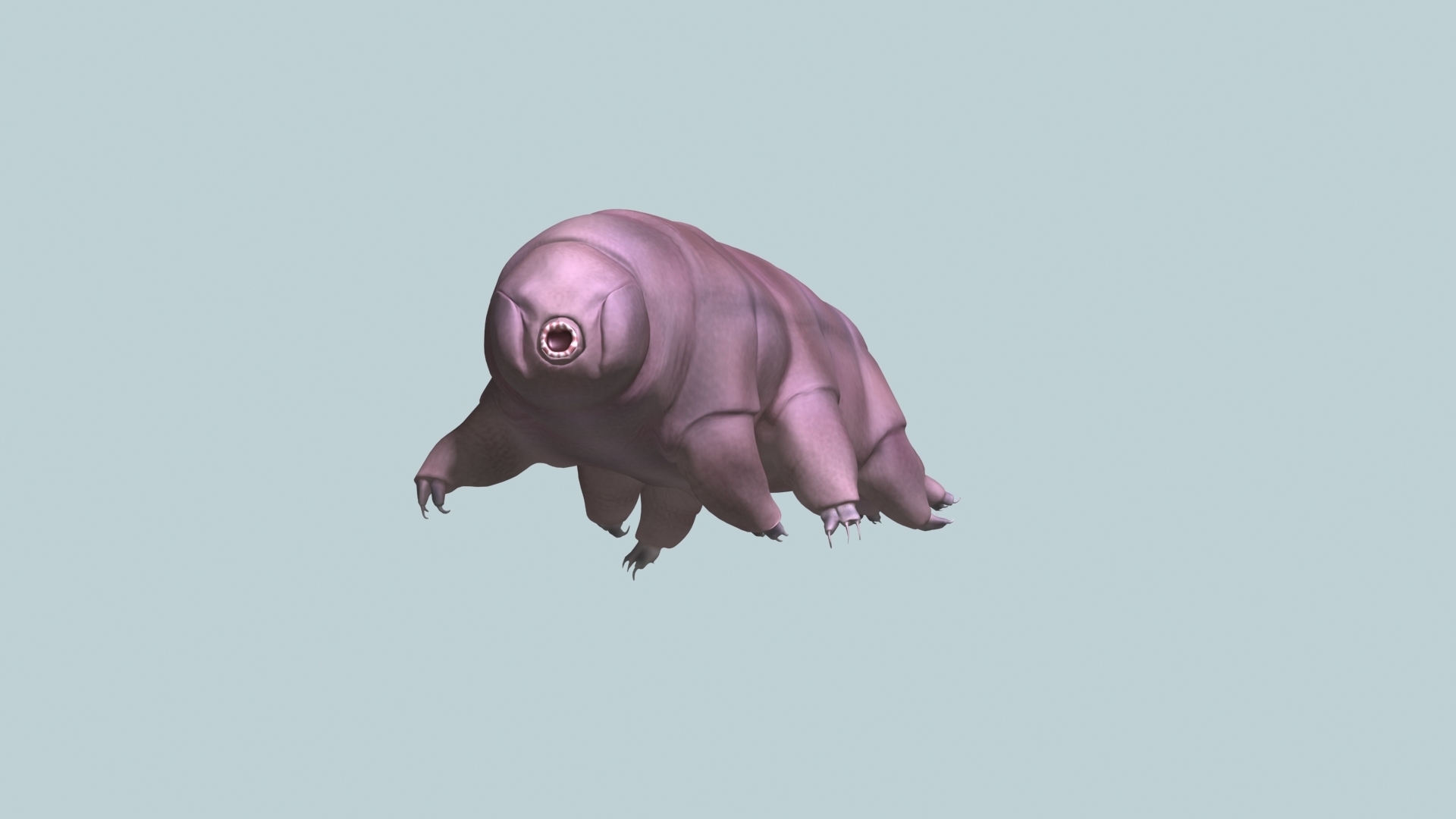 3d tardigrade animation water bear