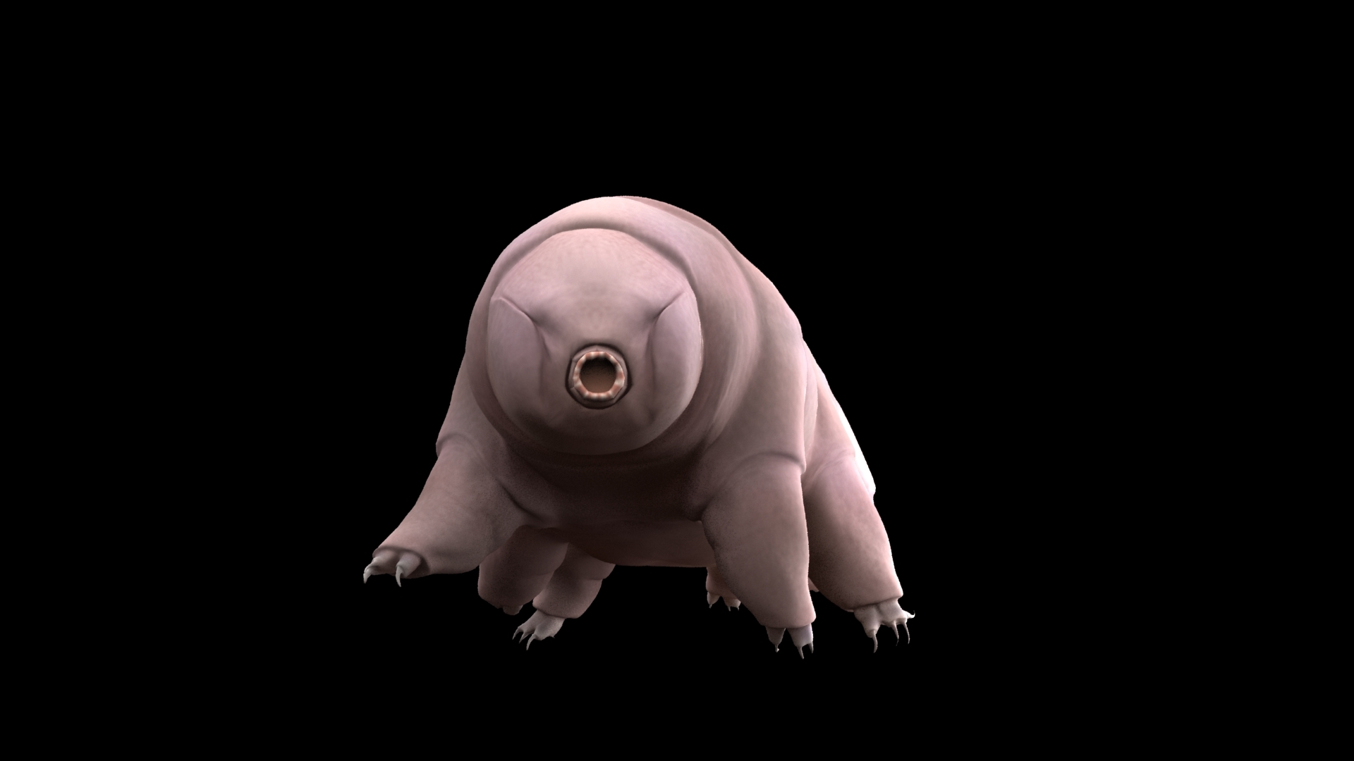 3d tardigrade animation water bear