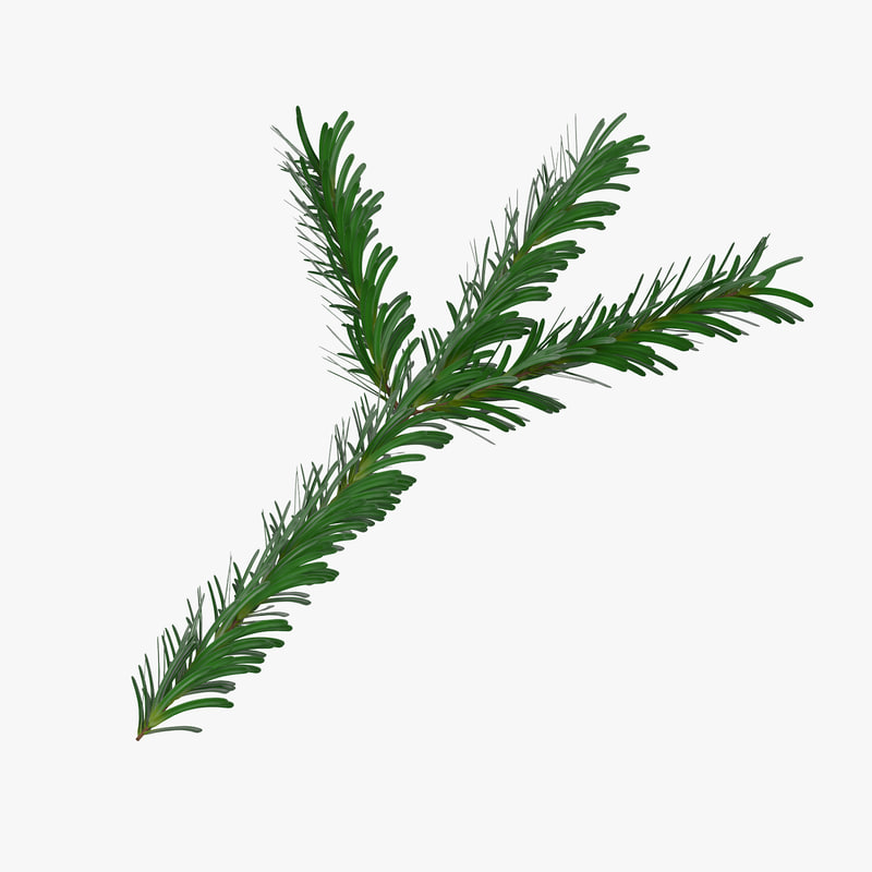 max pine tree sprig