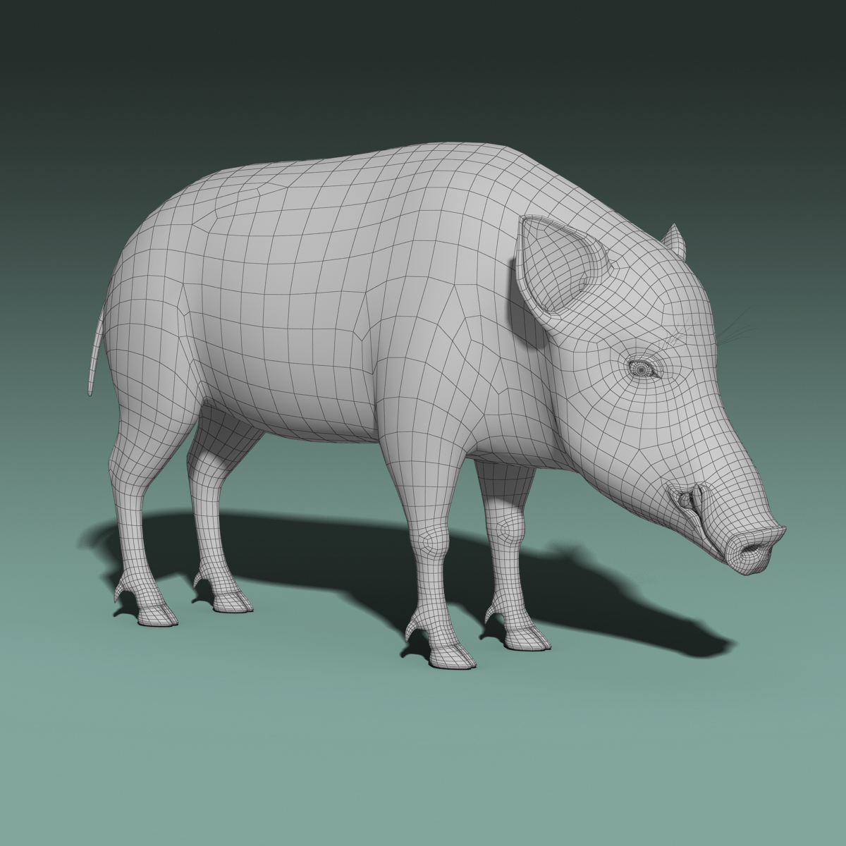 3d model wild boar fur rigged