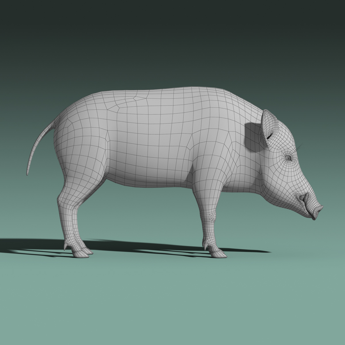3d model wild boar fur rigged