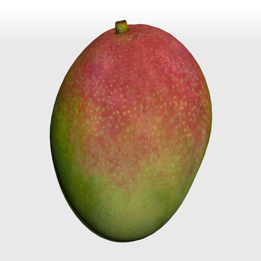3d realistic mango