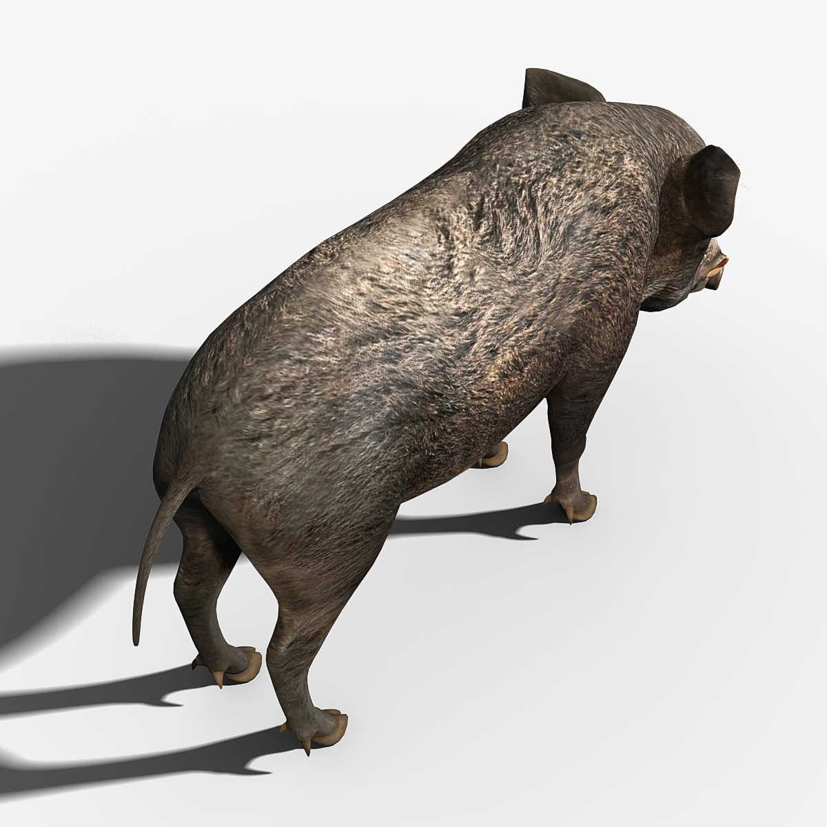 wild boar rigged 3d max