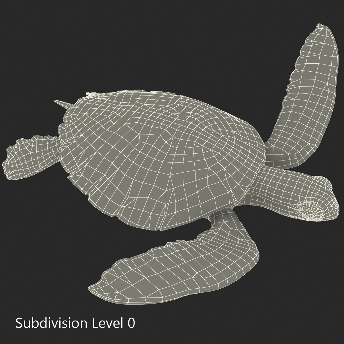 3d sea turtle pose 3