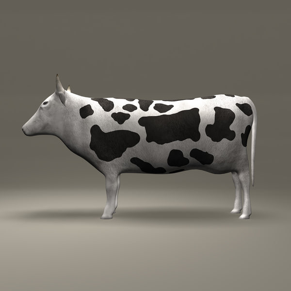 Cow 3D Models for Download | TurboSquid