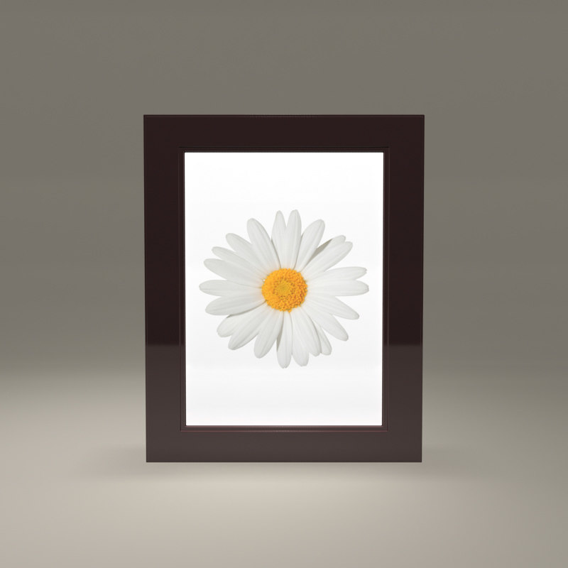free obj model picture frame