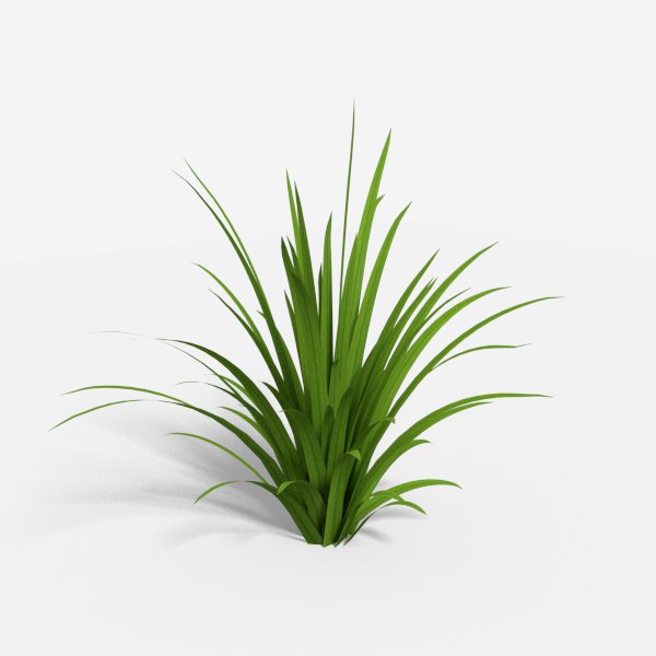 grass 3d model