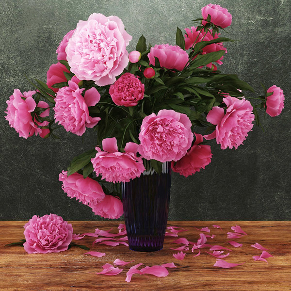 Peony 3D Models for Download | TurboSquid