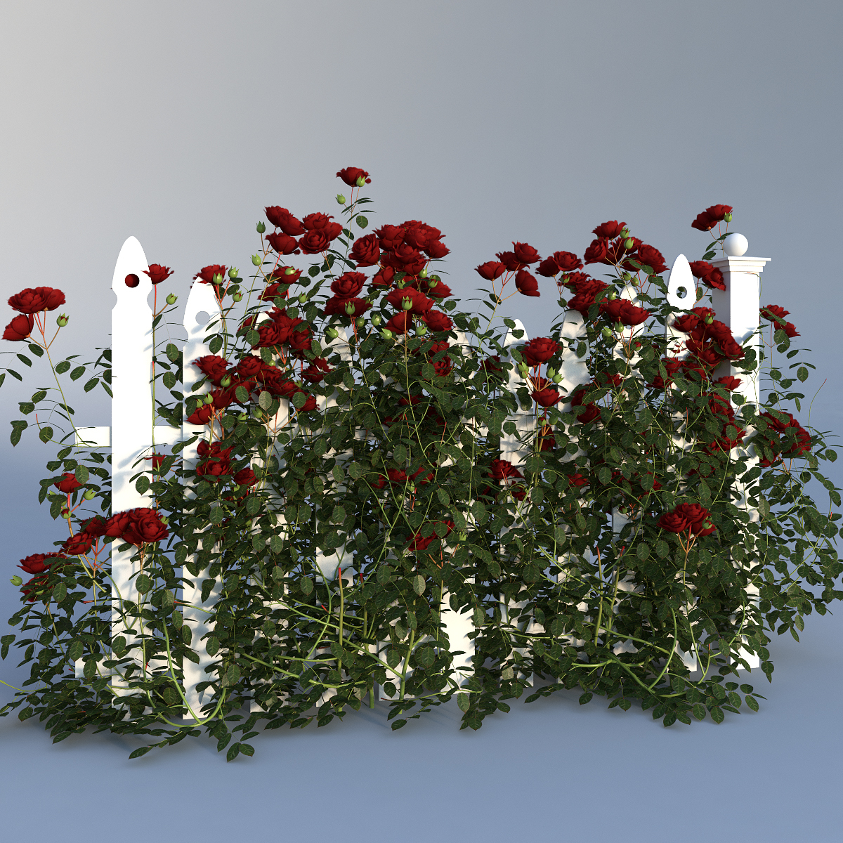 set rose fences 3d model