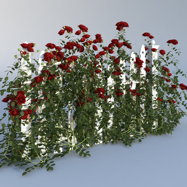 set rose fences 3d model