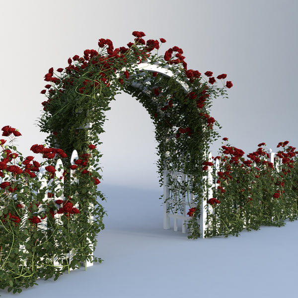 Rose 3D Models for Download | TurboSquid