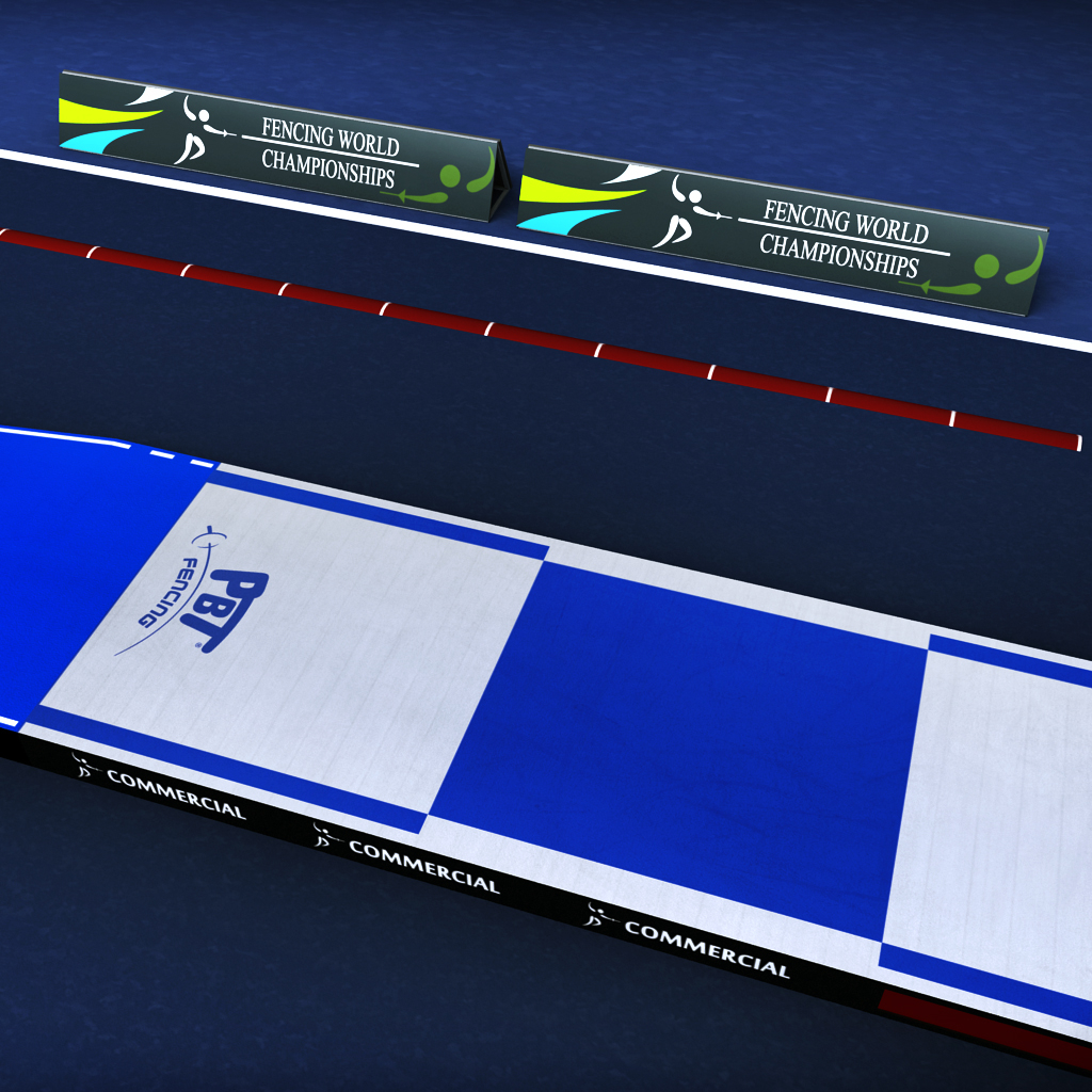 fencing piste arena 3ds