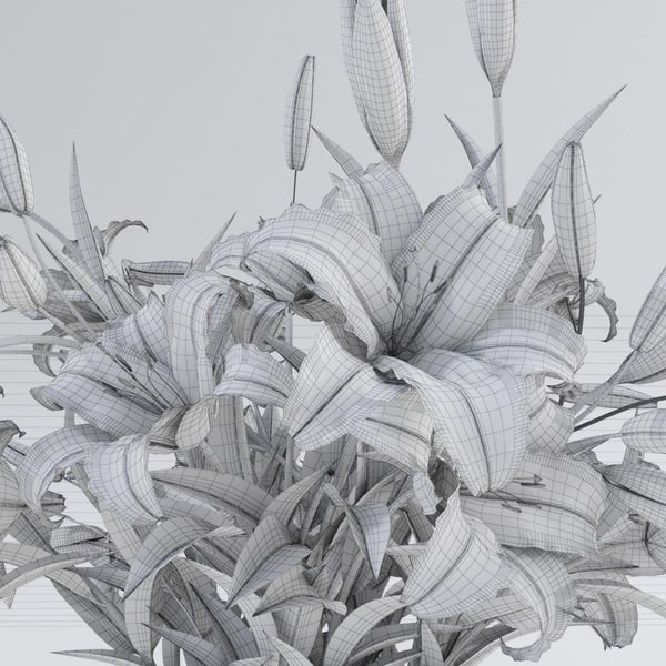 3d Realistic Lilys