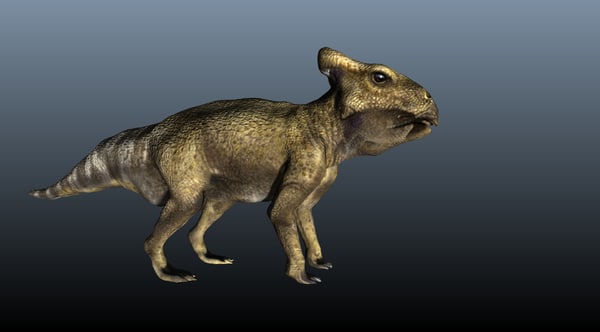 obj protoceratop
