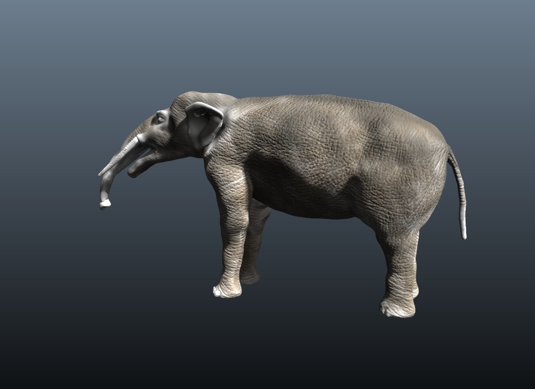 3d gomphotherium