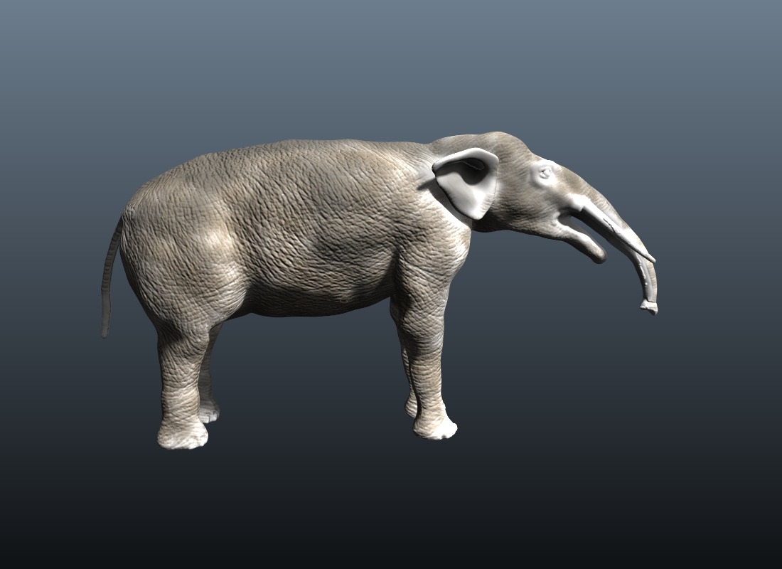 3d gomphotherium