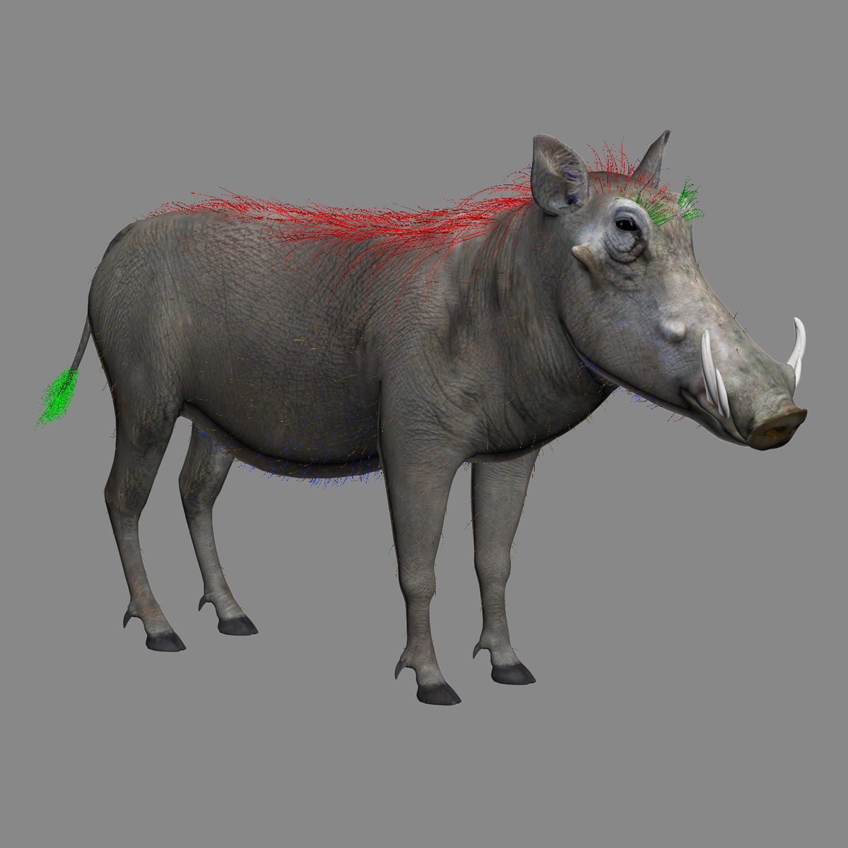 3d warthog fur hair animation model