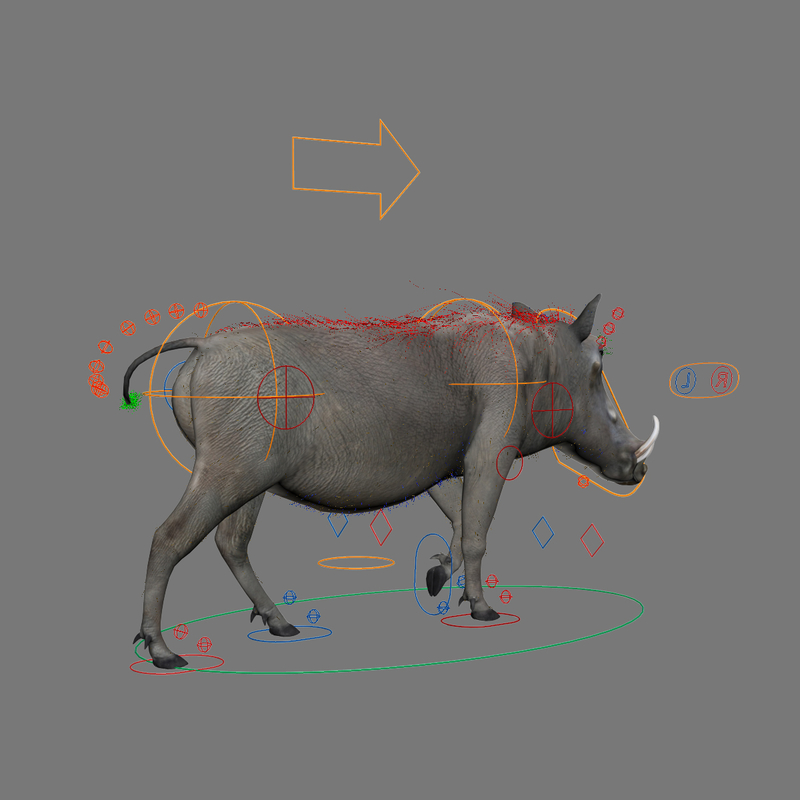 3d warthog fur hair animation model