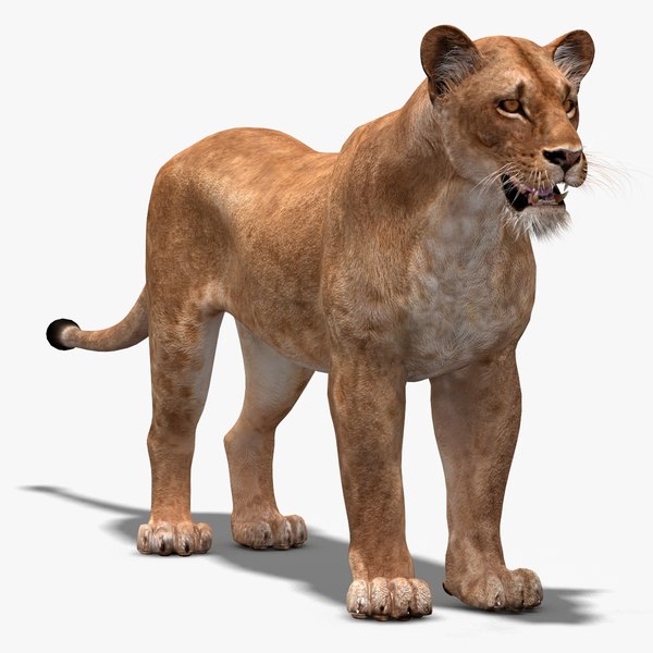 Lion 3D Models for Download | TurboSquid