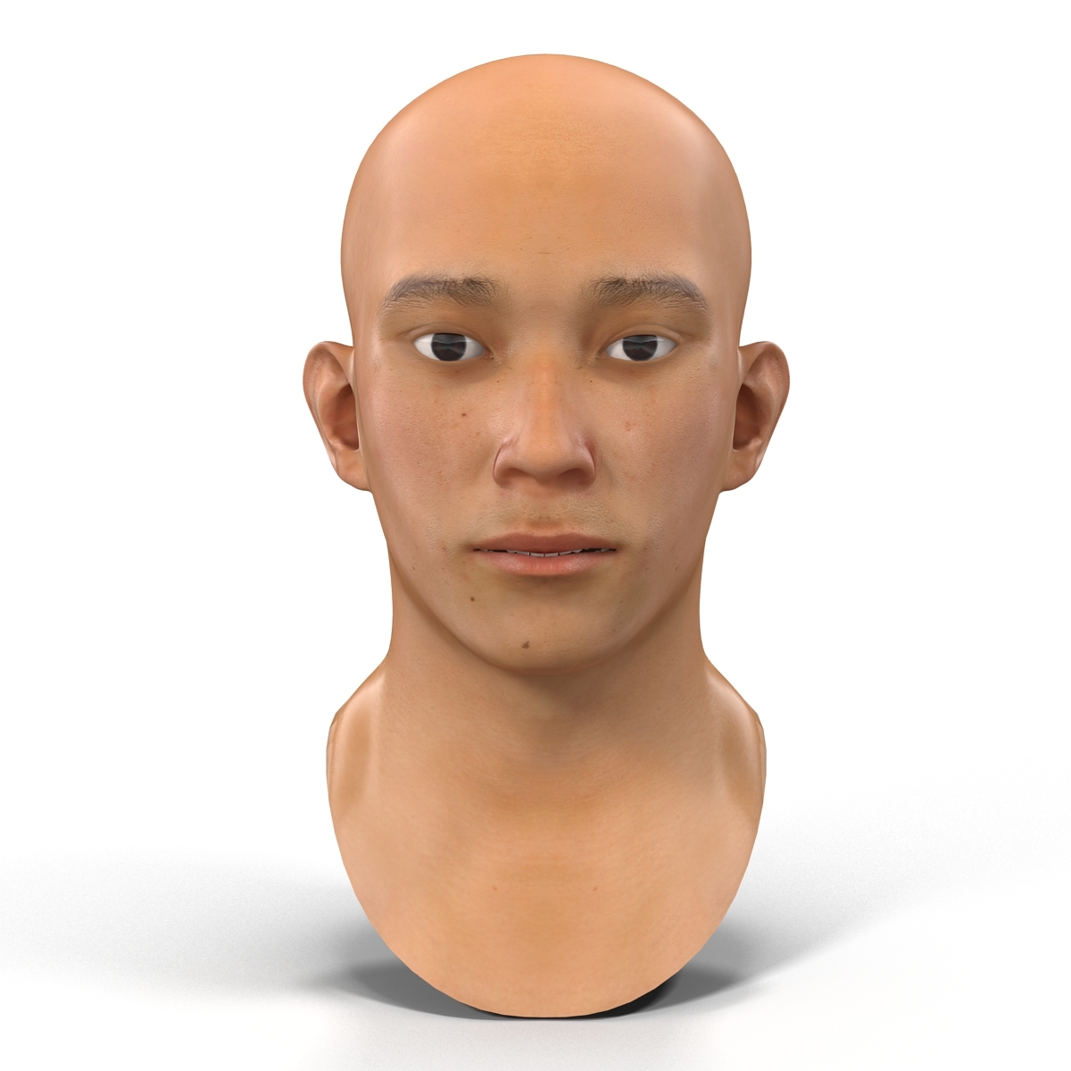 3d male heads
