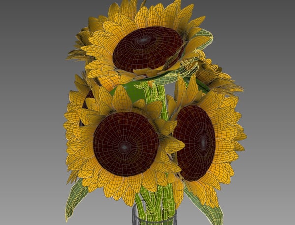 3d sunflower model