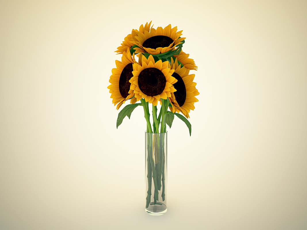3d sunflower model