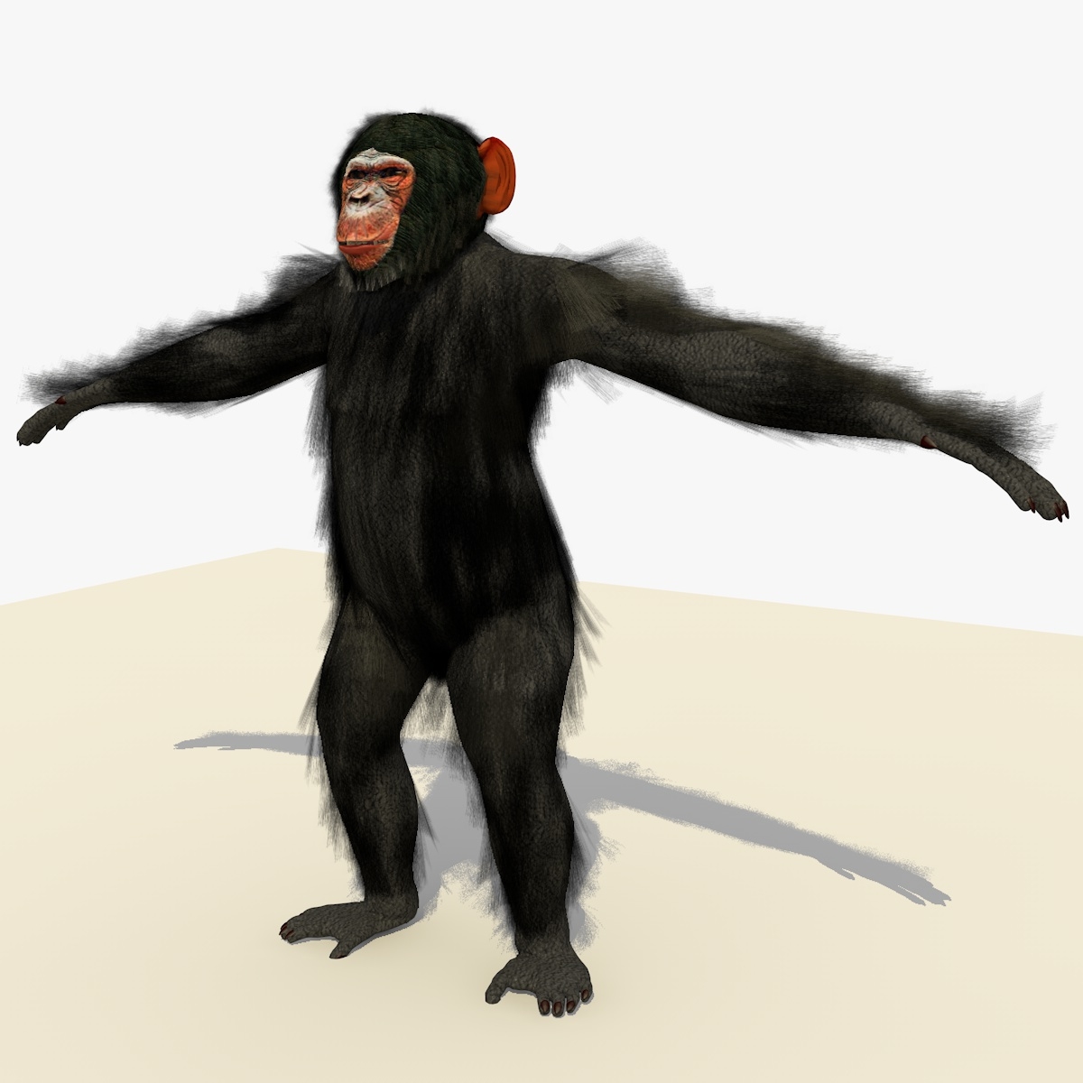 3d rigged chimpanzee walking animations