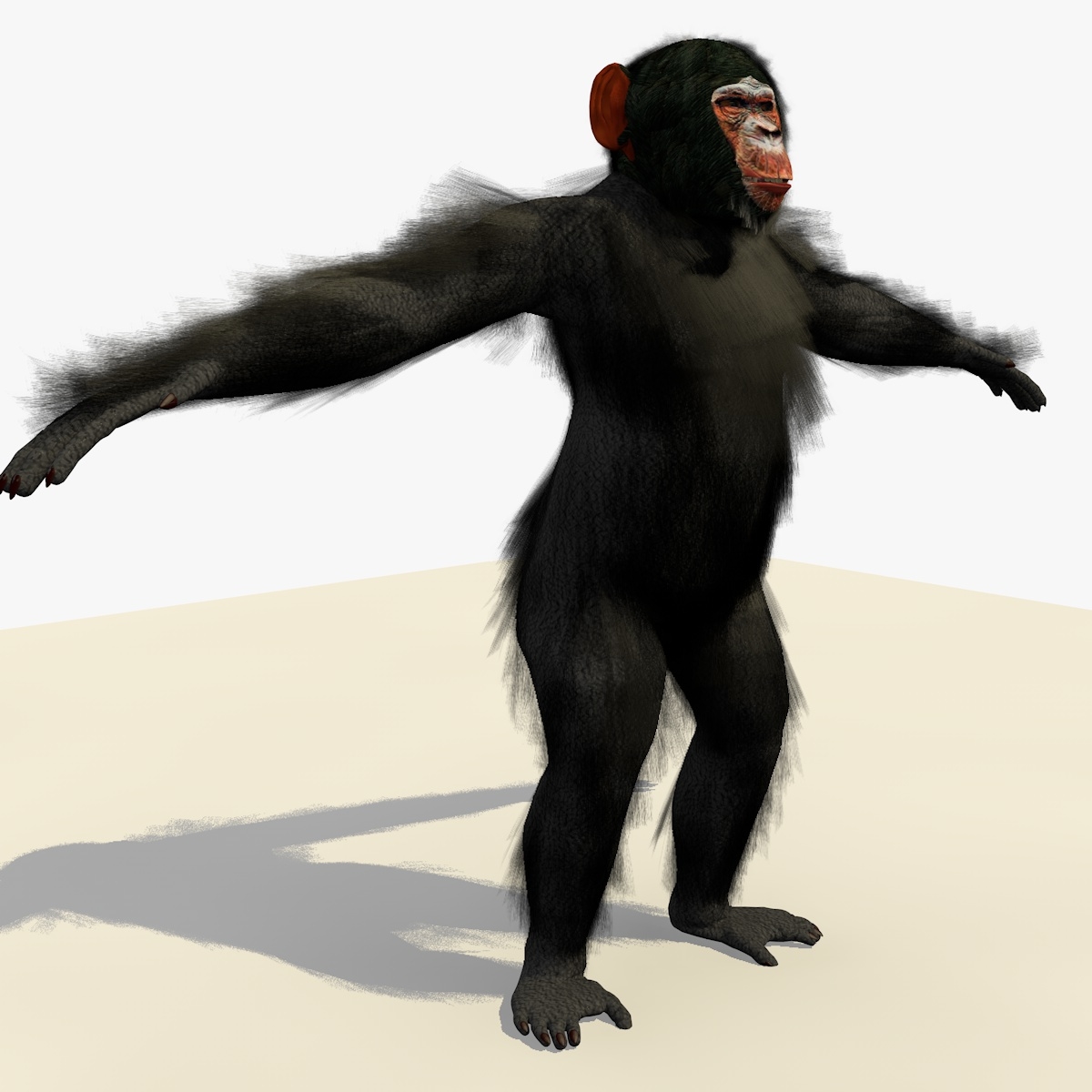 3d rigged chimpanzee walking animations