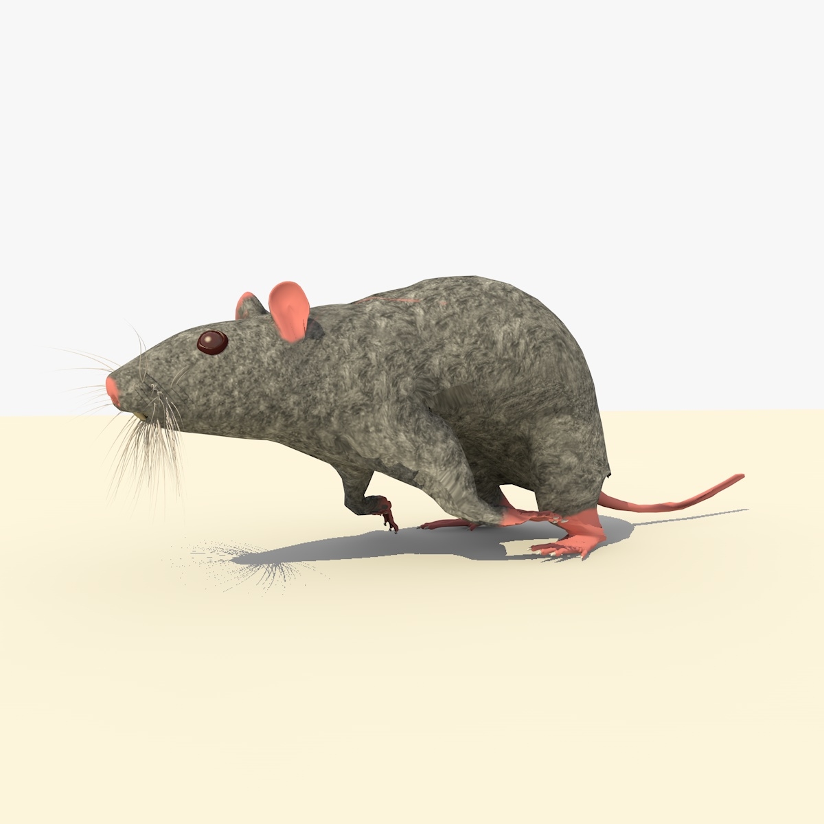 grey running mouse animations c4d
