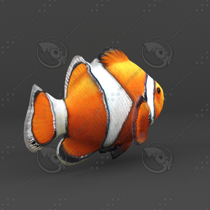 3d fish animation