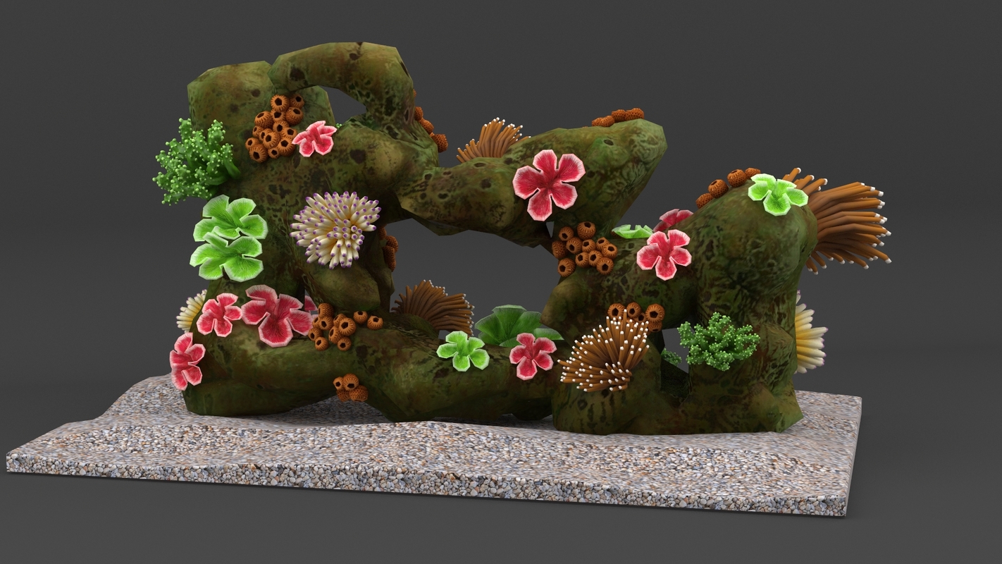 3d coral reef fishes model