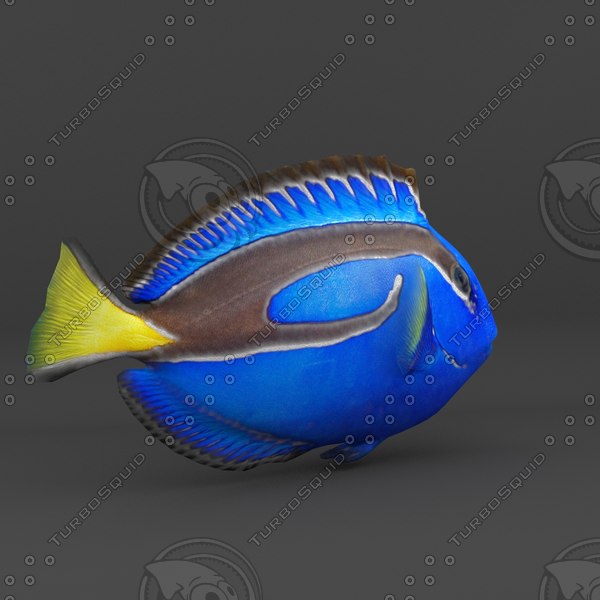 maya fish animation